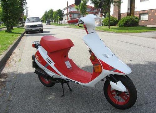 1987 Honda SE50/50P,ELITE 50S/50 Motocycle Service Repair Workshop ...